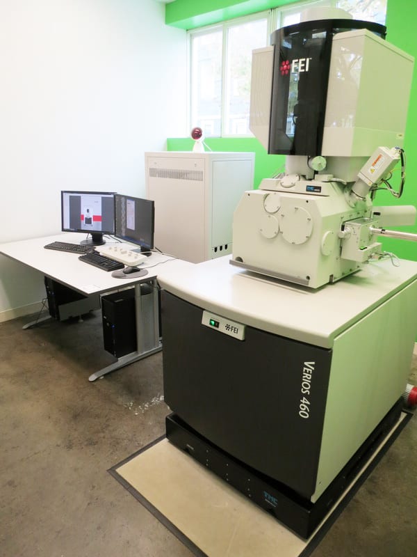 Thermo Fisher Scientific / FEI Verios 460 SEM (Scanning Electron Micro ...