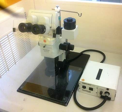 Olympus SZX 12 Microscope – Bridge Tronic Global