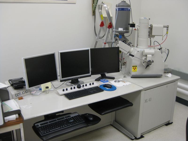 Thermo Fisher Scientific / FEI XL 40 SEM (Scanning Electron Microscope ...