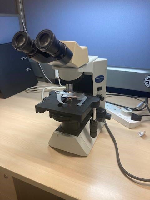 Olympus CX 31 Microscope – Bridge Tronic Global