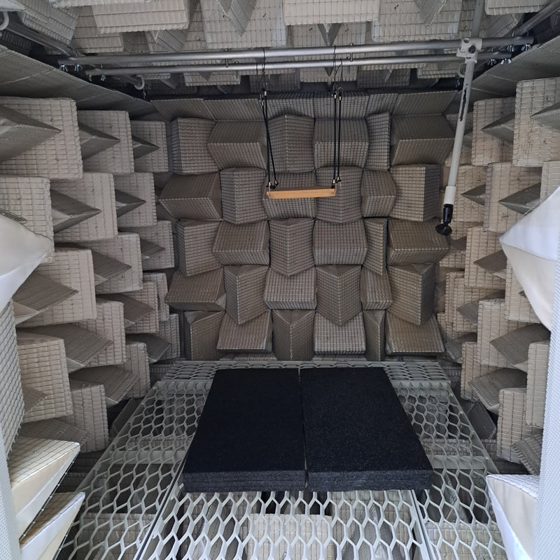 Eckel Anechoic Sound Chamber – Bridge Tronic Global