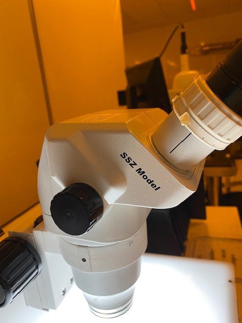 SSZ SZ BD B 2 Binocular Body – Bridge Tronic Global