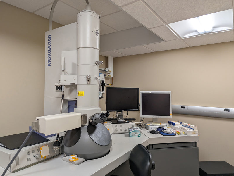 Thermo Fisher Scientific / FEI Morgagni 268 TEM (Transmission Electron ...