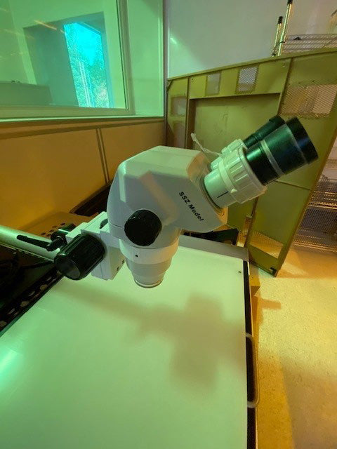 SSZ SZ BD B 2 Binocular Body – Bridge Tronic Global