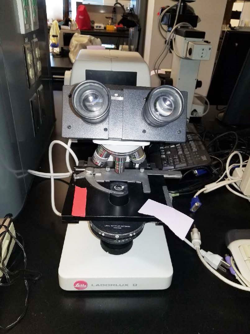 Leitz Laborlux D – Bridge Tronic Global