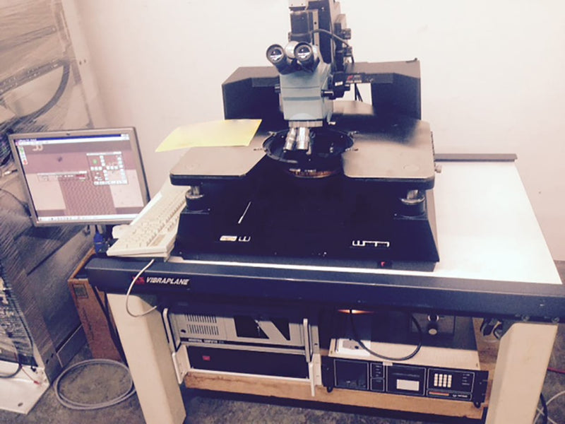 Wentworth MP 2000 Probe Station – Bridge Tronic Global